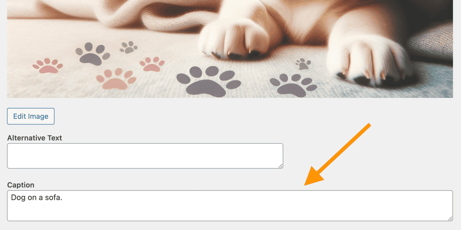 How to add a Featured Image Caption in WordPress - Image Source Control