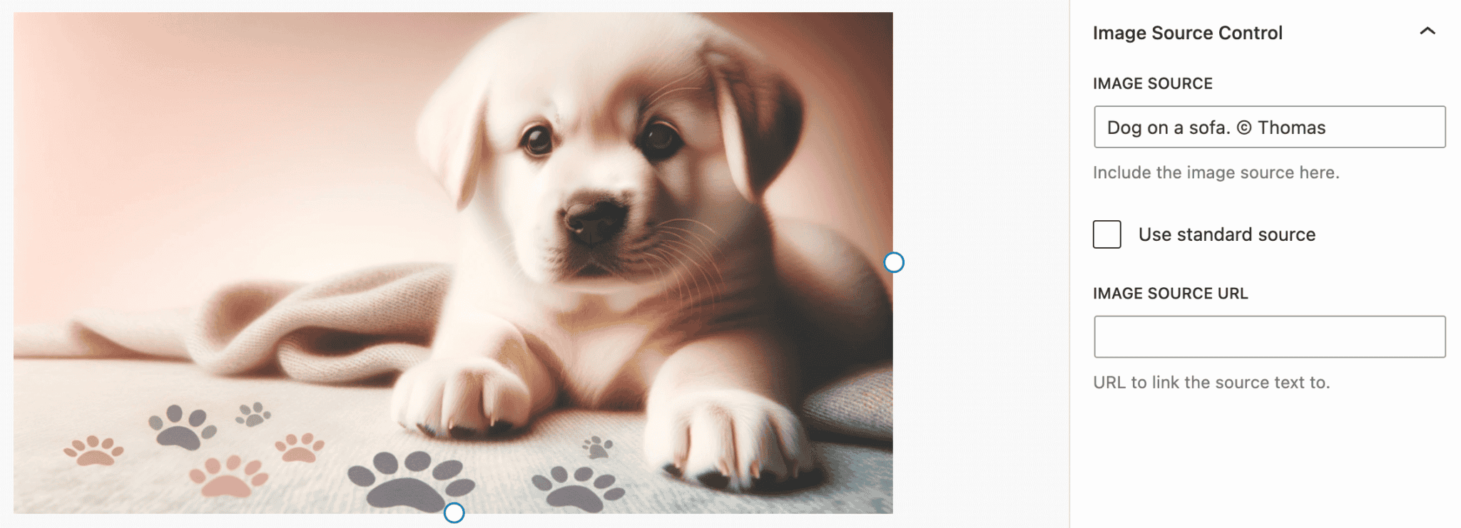 How to add interactive WordPress Image Captions